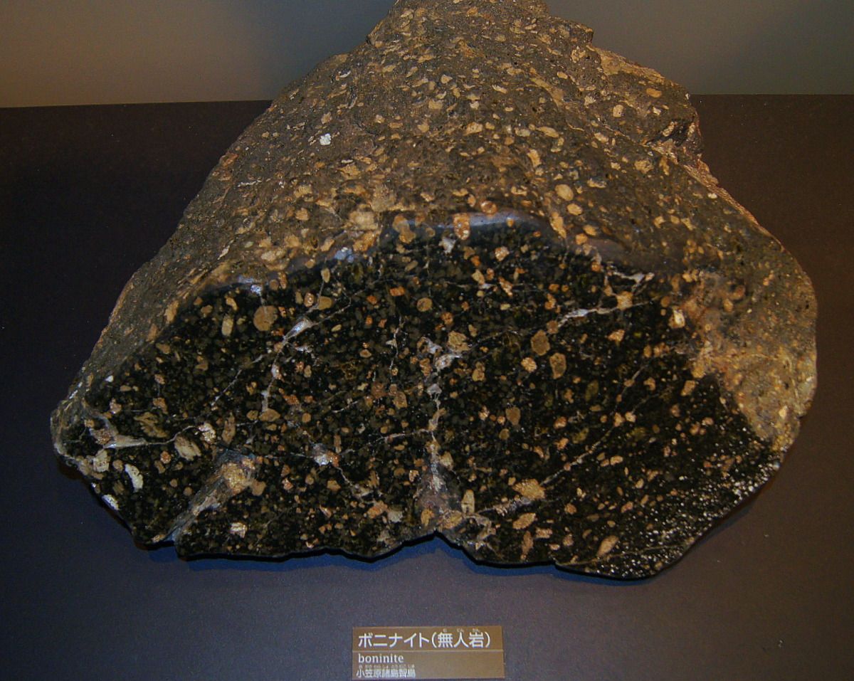 Blog de Linguagens: Boninite