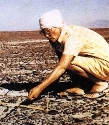 Los Mundos de Laura: Lineas de Nazca