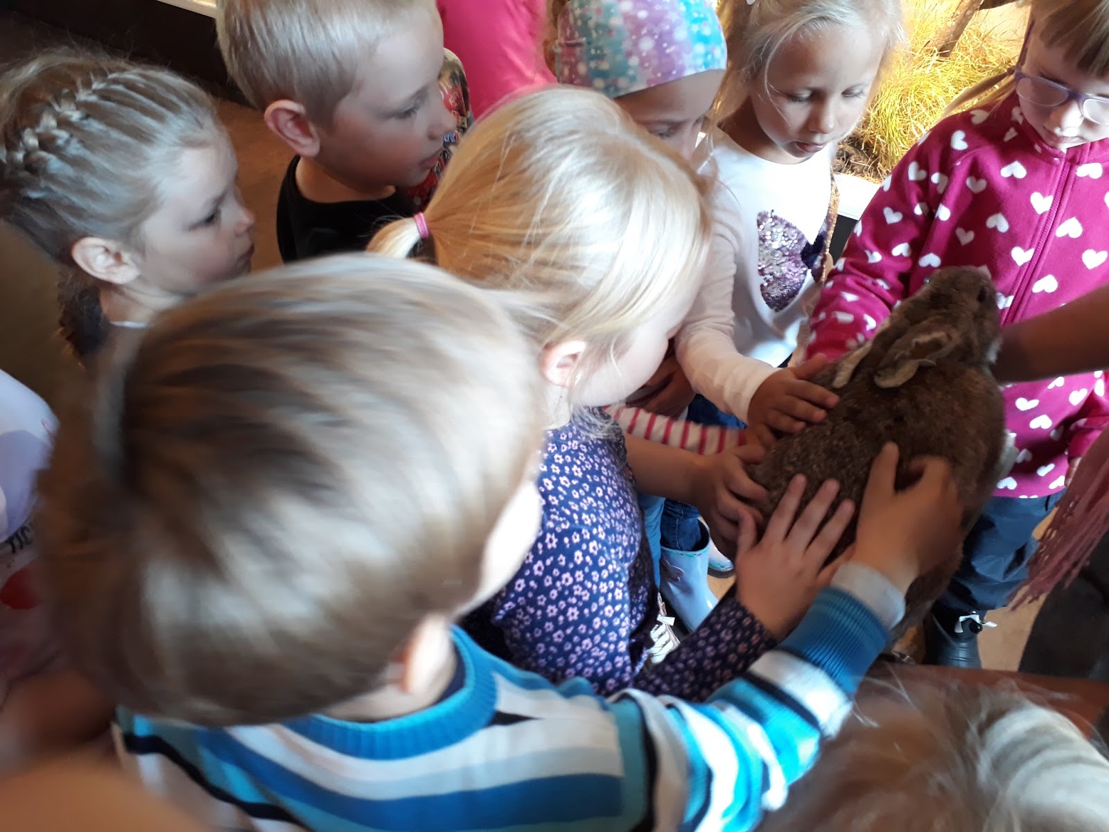 Roheline Kool Eestis Tallinna Tuule Lasteaed: Lapsed loodusmuuseumis