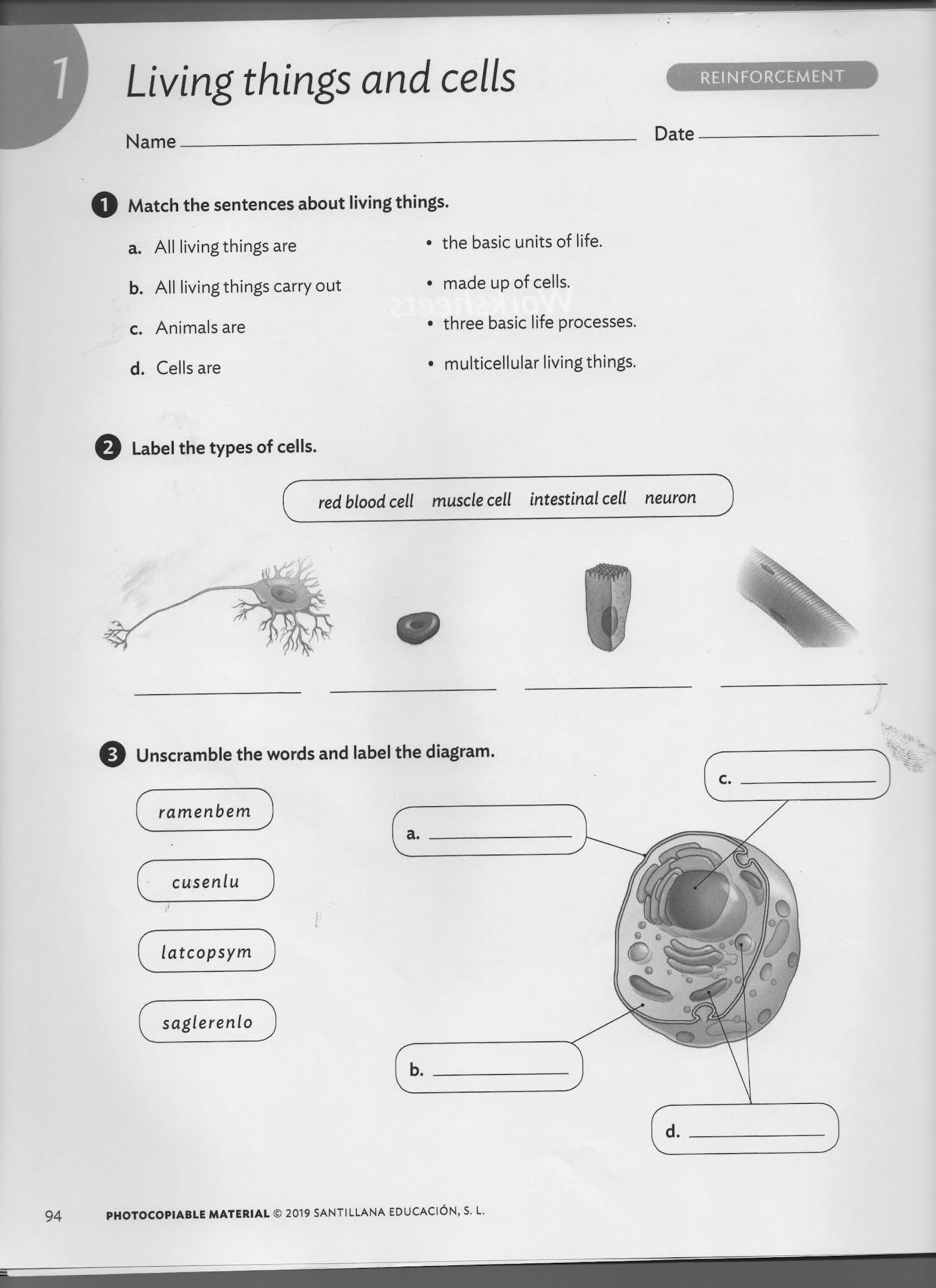 Natural Science 5th course: UNIT 1: LIVING THINGS AND CELLS