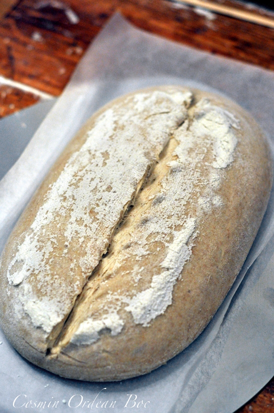 simplu si bun: Paine cu maia in sapte pasi