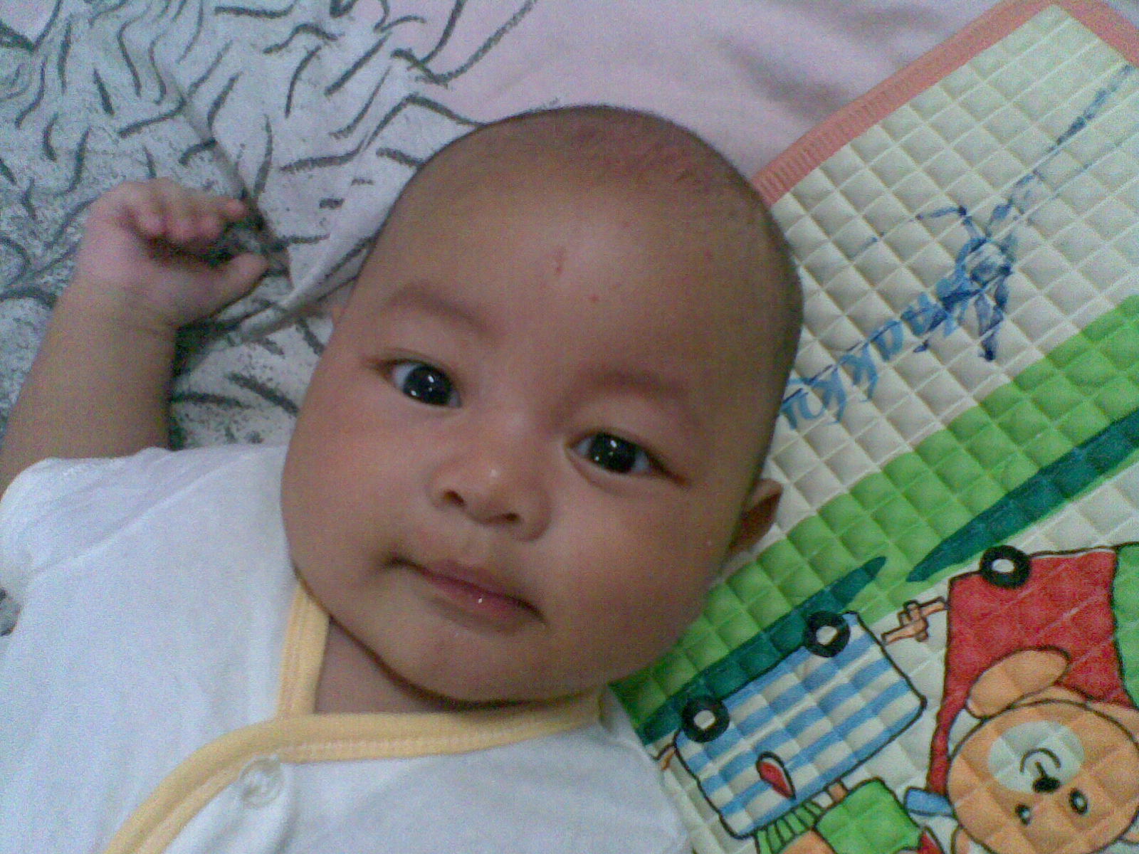 Susu dan kepentingannya untuk IBU HAMIL~ nak baby sihat, pandai, sile ...