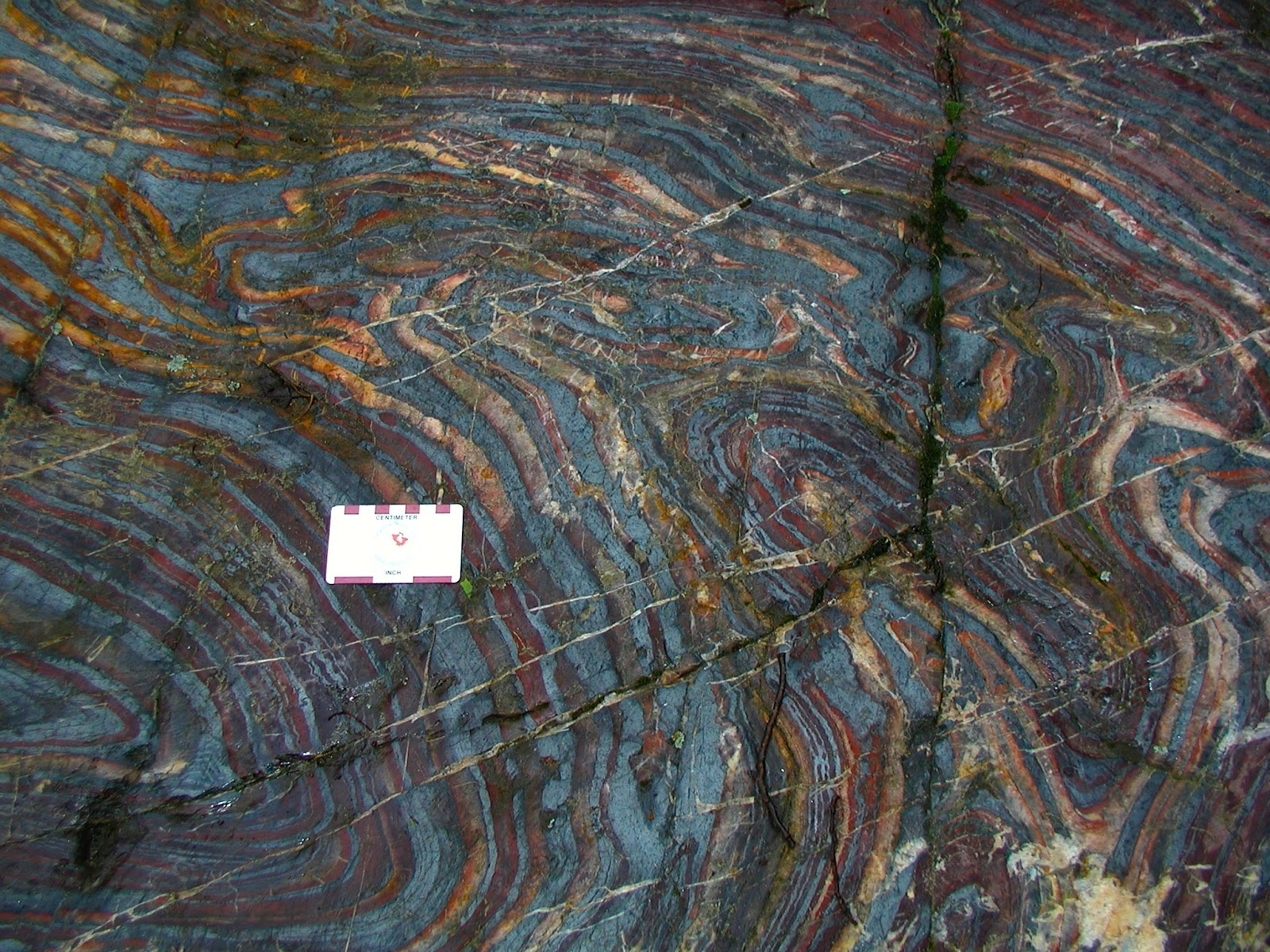 earthscienceguy: Minnesota Geology Pictures - Folded Banded Iron Formation