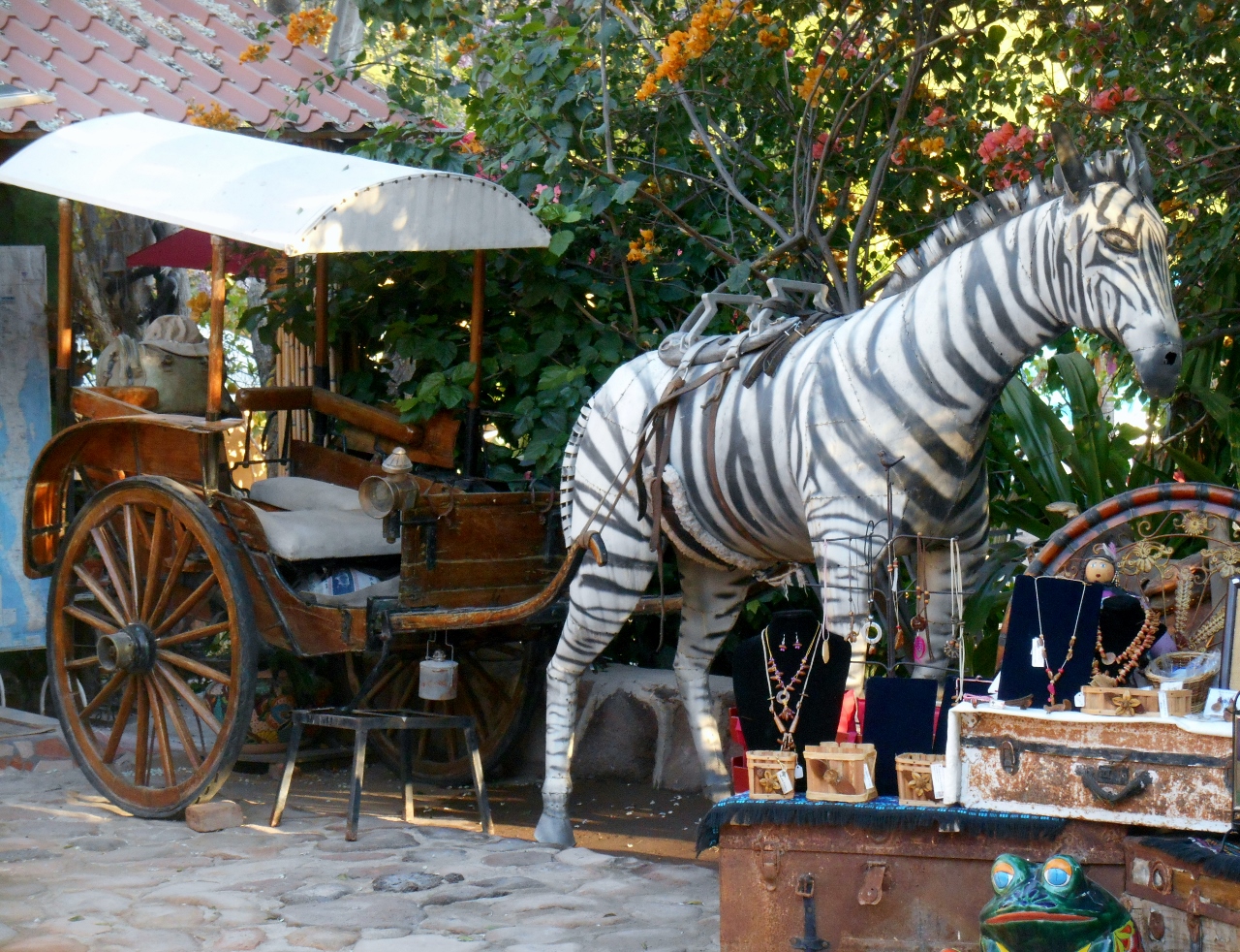 Surprise...Tomorrow is now TODAY!!: Magical Baja Whale Adventure