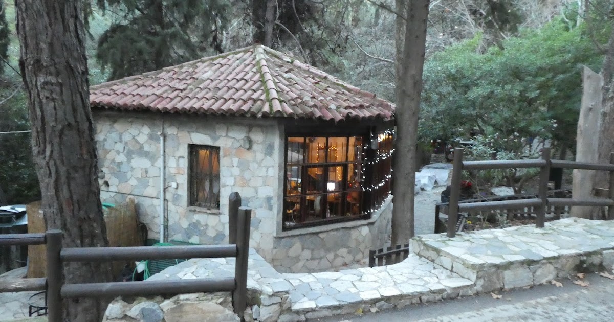 ΑΙΣΘΗΤΙΚΟ ΔΑΣΟΣ ΚΑΙΣΑΡΙΑΝΗΣ