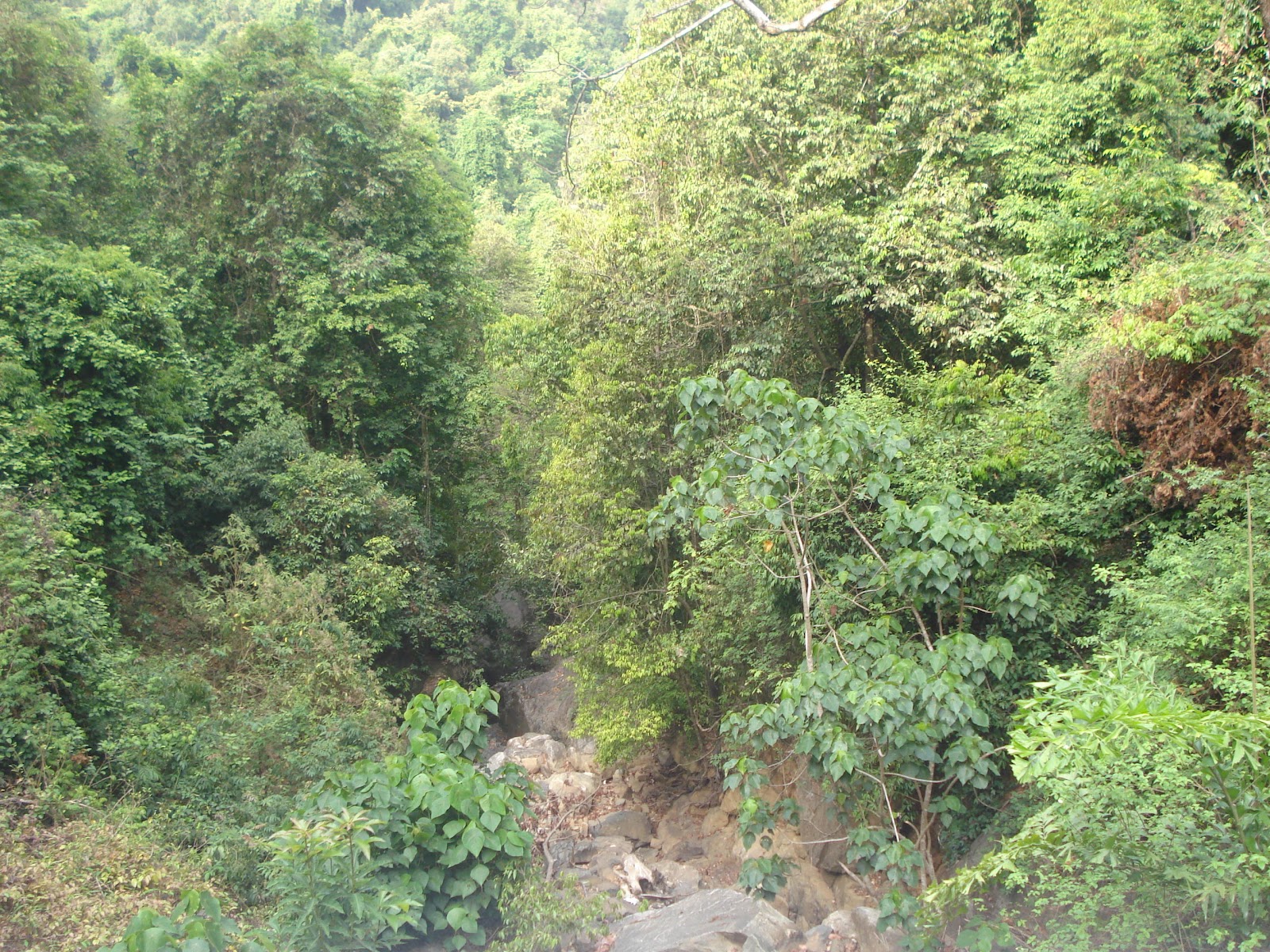 ULAVI, AKALAGAVI, WATER FALLS IN UTTARA KANNADA: TRIP IN BIKE 29/4/2012 ...