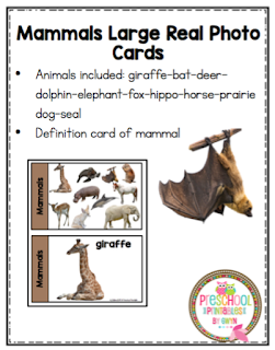 Mammals Large Real Photo Cards ~ Preschool Printables