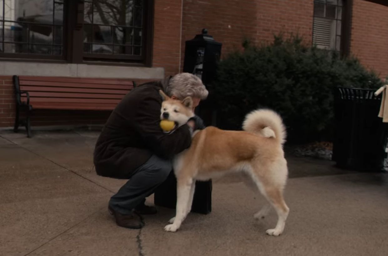 Hachiko Waits Movie