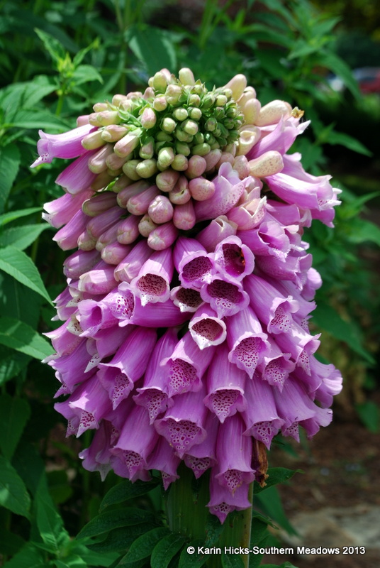 Lessons Learned: Spring 2013