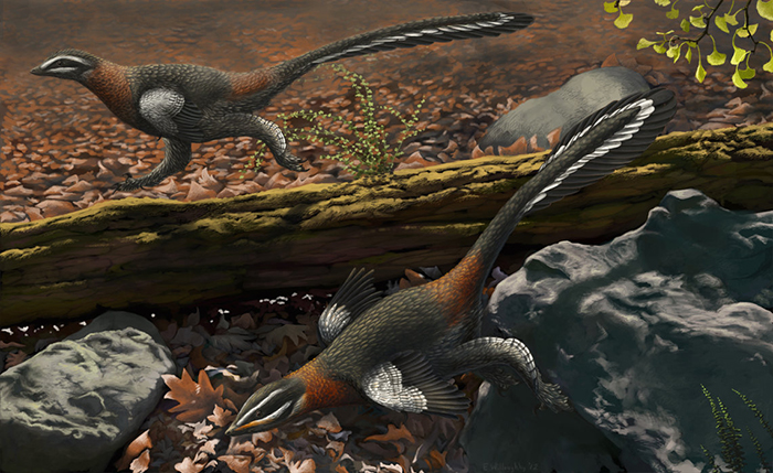 Mundo Pré-Histórico: Terópodes (Theropoda)