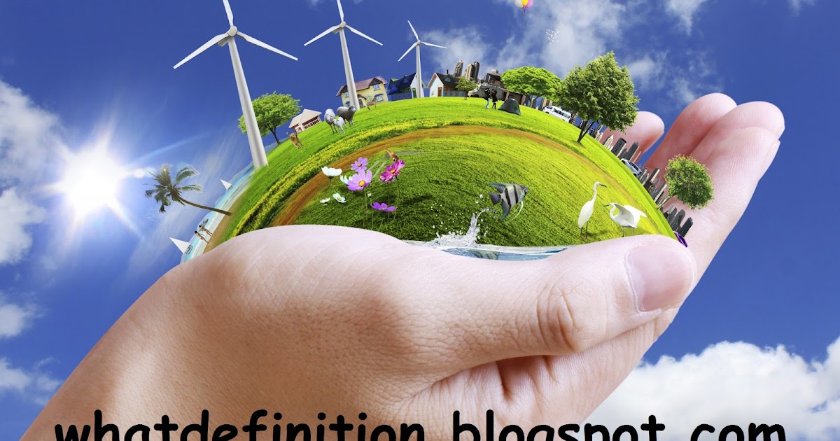 what is the environment