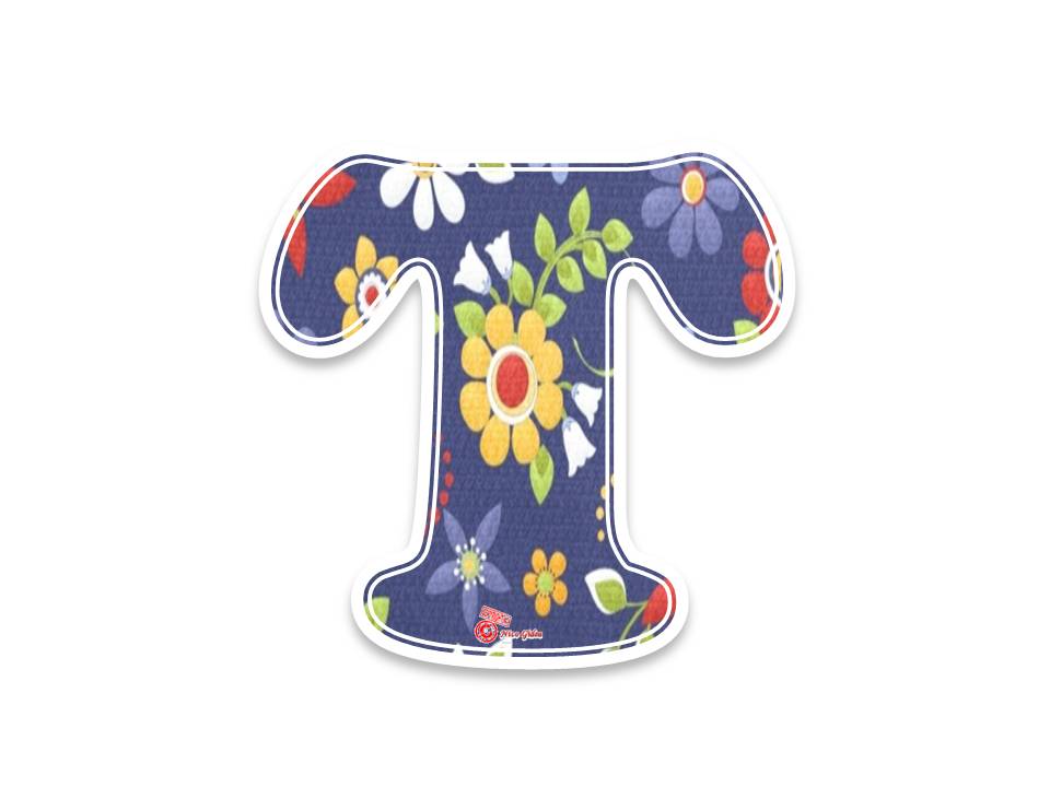 S.T.R.U.M.F. : Litere simple