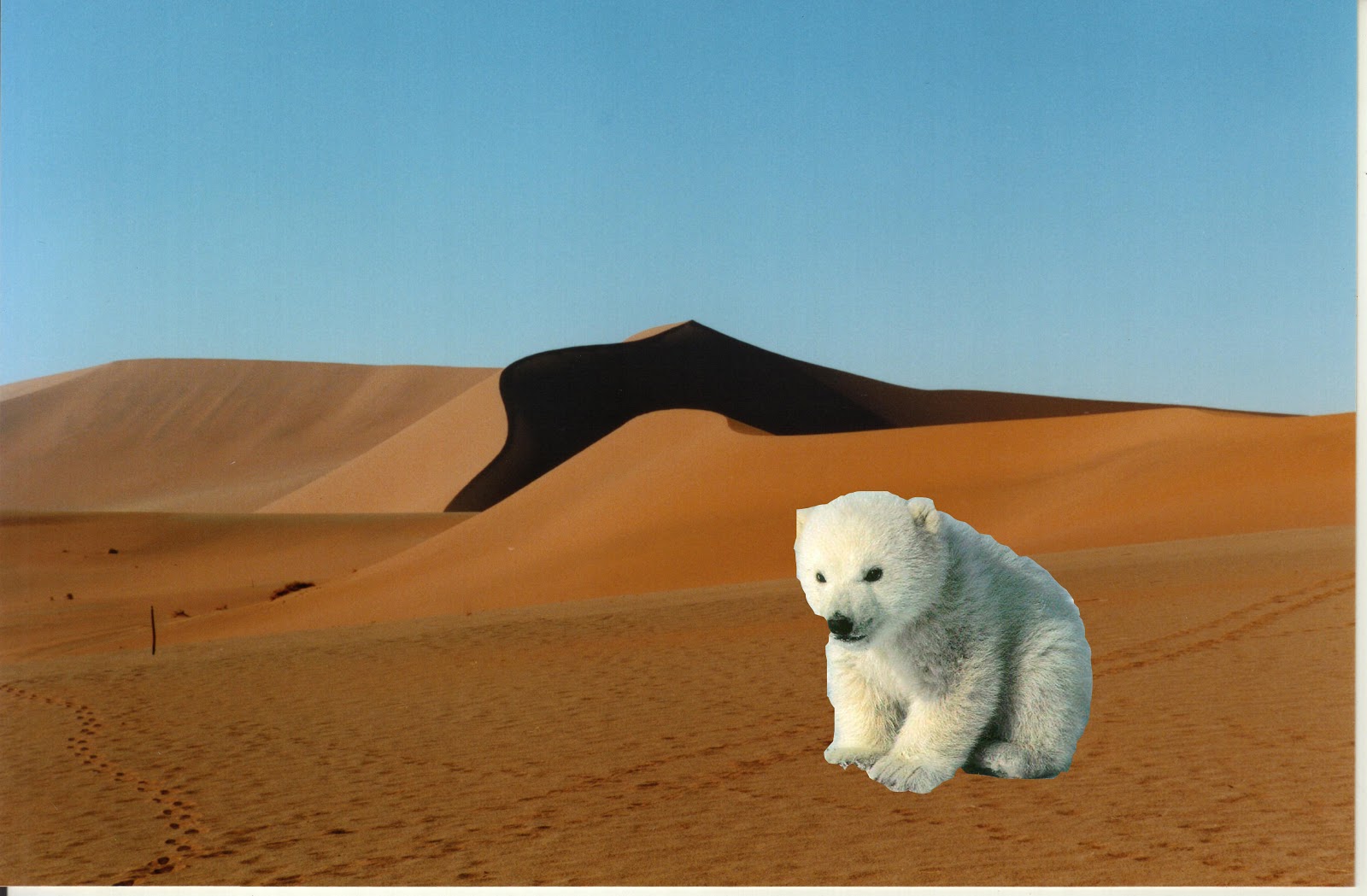 Digital Mixed Media: Surrealism part.2