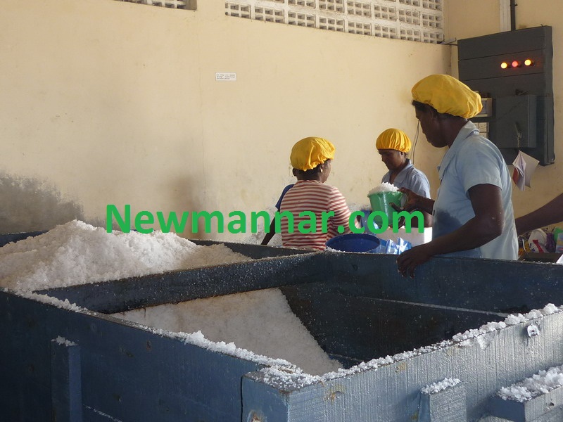 Mannar Salt Factory | Mannar Photos
