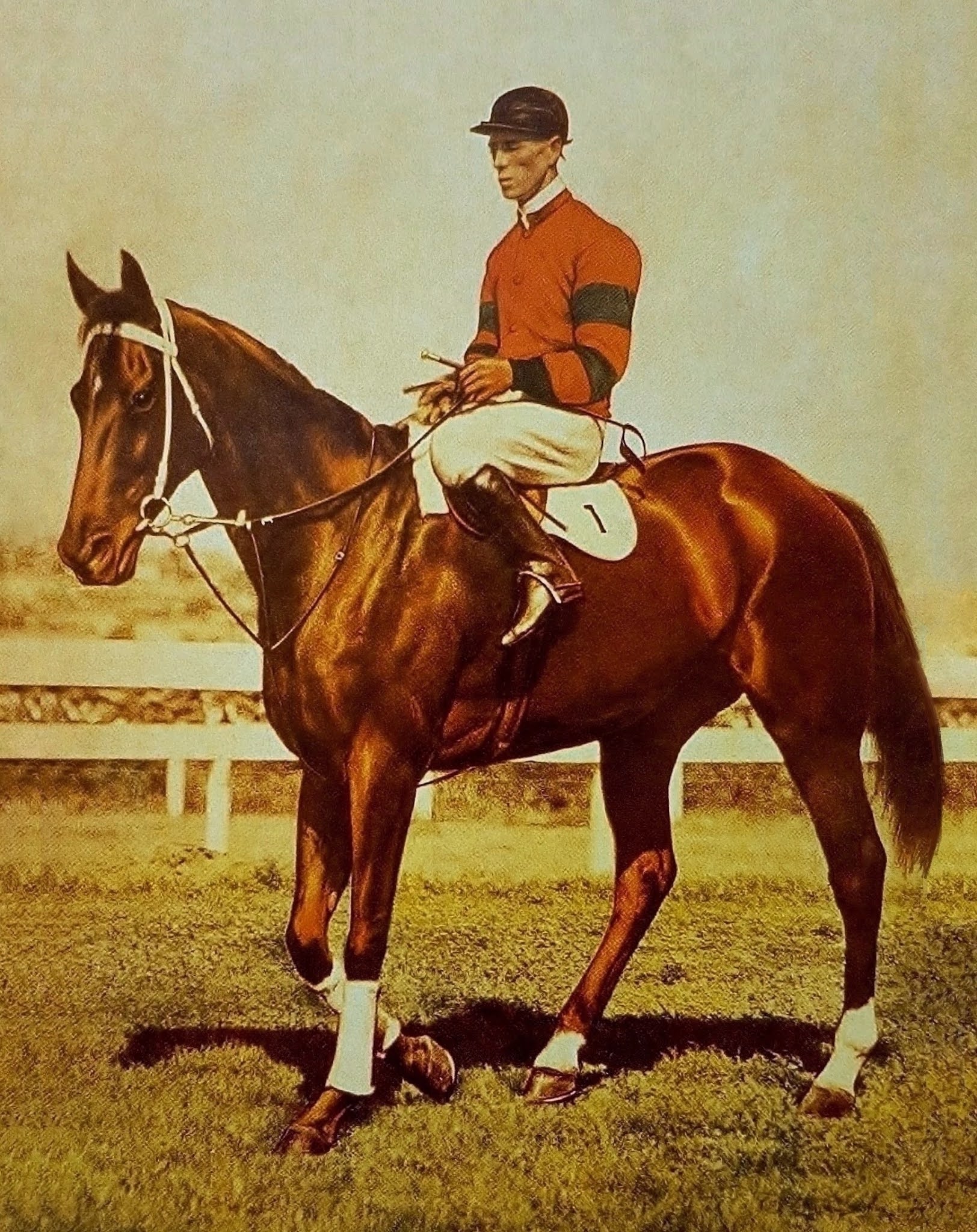 Phar Lap Complete Career Record