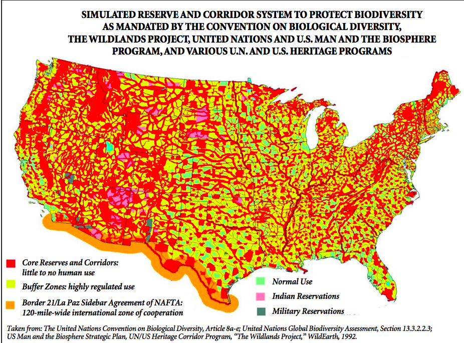 Biodiversity And Wildlands Project Usa Map - United States Map