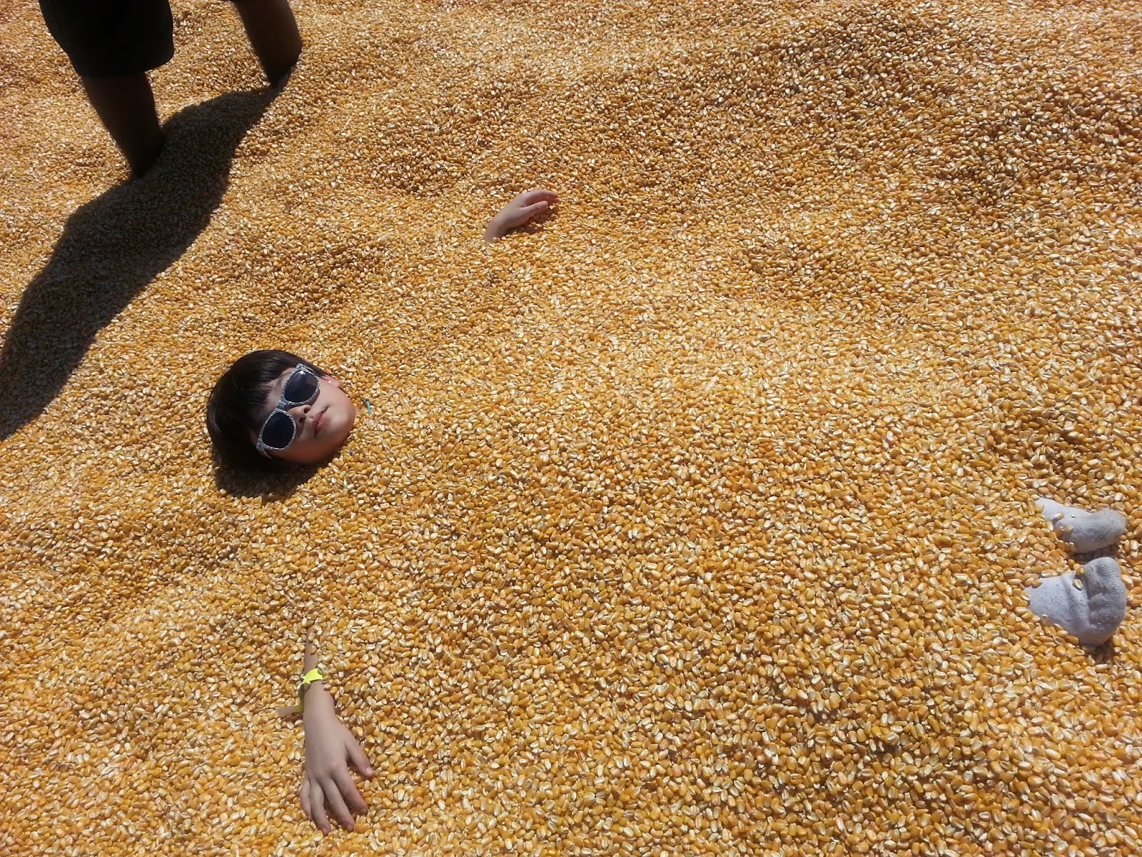 Four Violet Reviews: Corn Pool on the Christmas List!