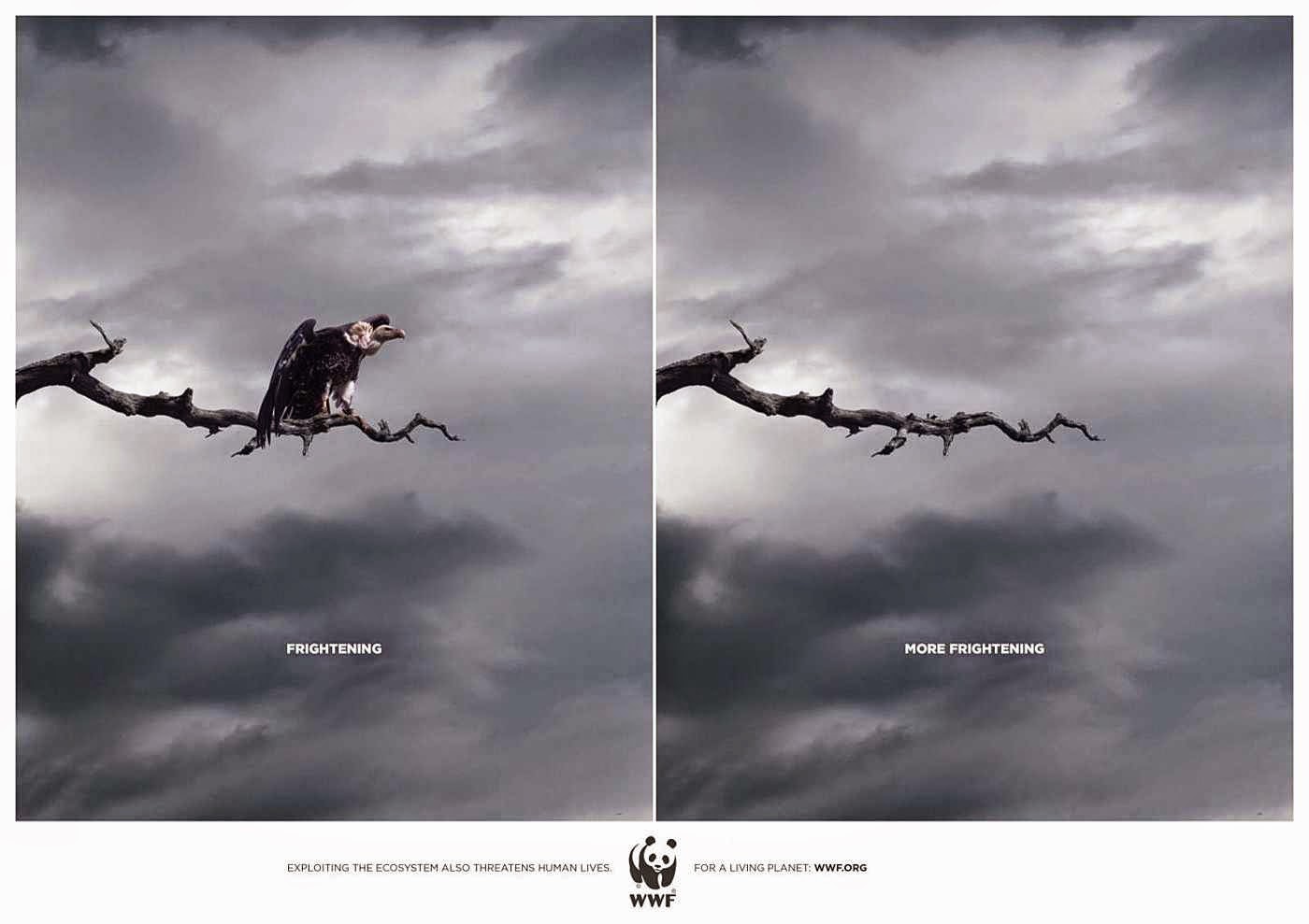 Wwf Ads With Words