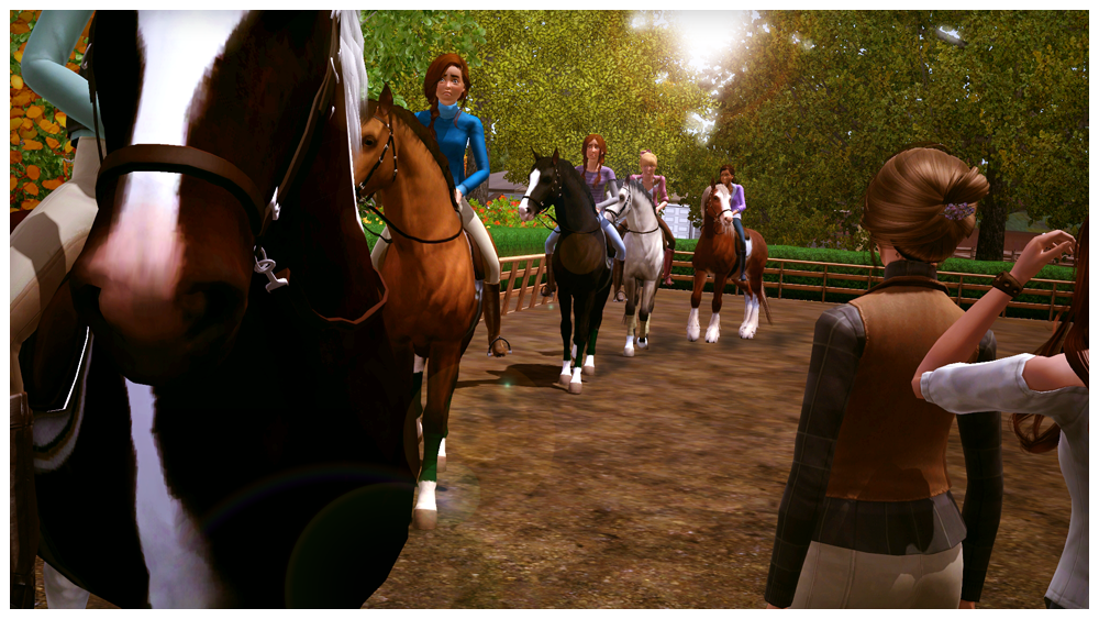 Margo May's Equine Studio: The Riding Academy: Classes Begin