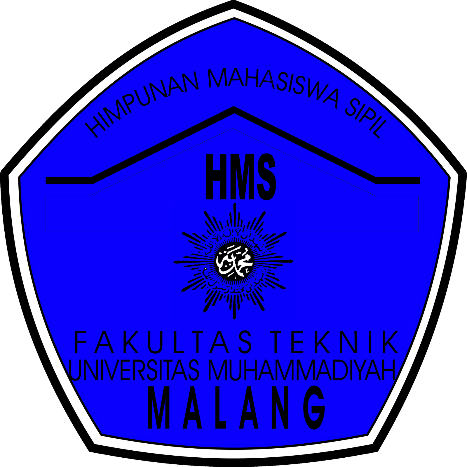 BEM FT-UMM 2011/2012: LOGO