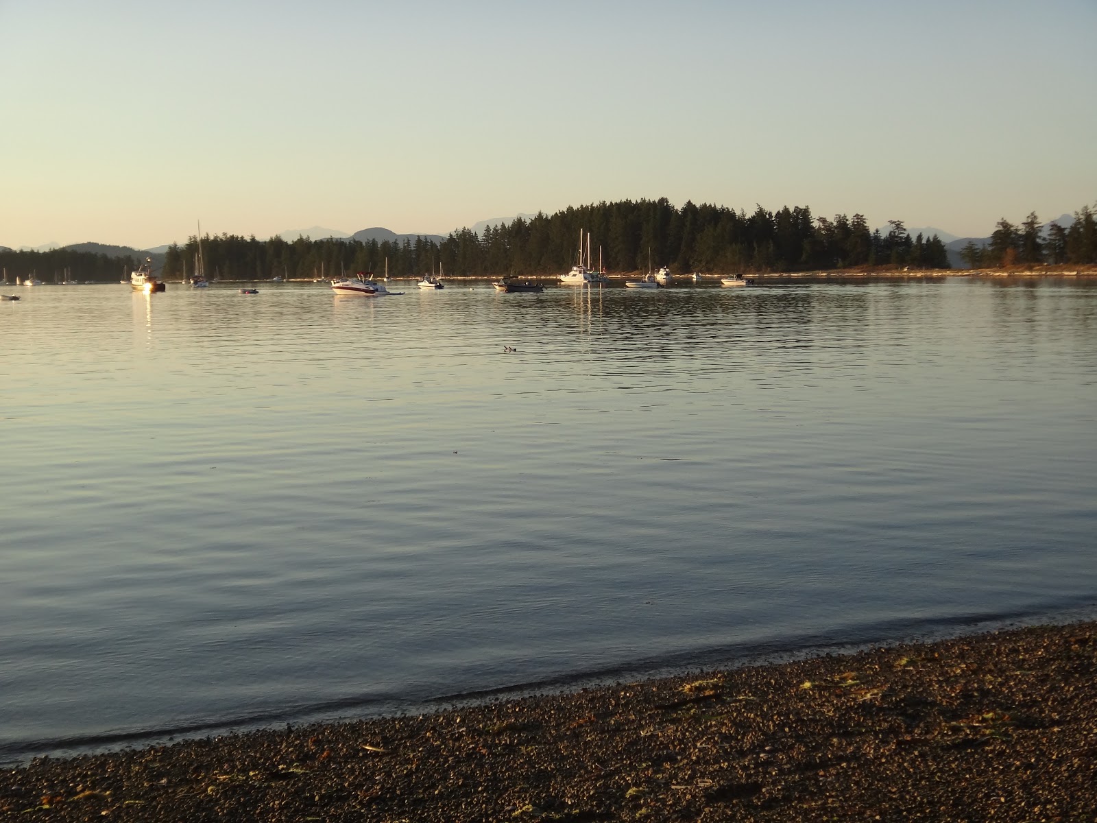 GollyGeeGosh: Quadra Island - We Wai Kai Campground