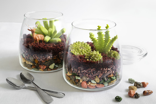 Stuff for Sam: Edible Dessert Terrarium