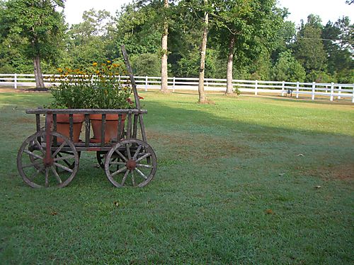 Today's Treasure by Jen: Antique Goat Cart Yesterday & Today