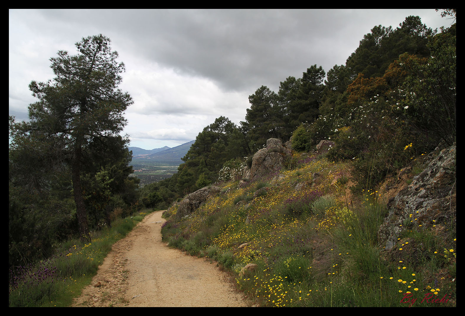CIMA A CIMA: El Miaccum y los Cerros de Collado Mediano