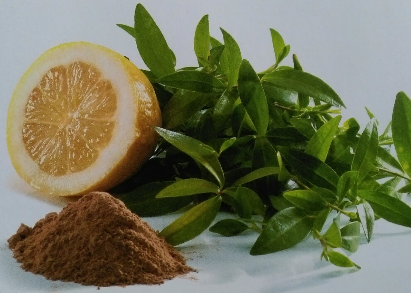 Recepti i zanimljivosti: KAKO POSTIĆI DA MASNA KOŽA BUDE BEZ RUŽNOG SJAJA?