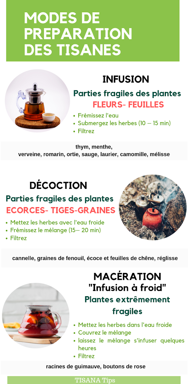 Comment préparer une tisane ? Que faire une infusion, une macération ou une décoction