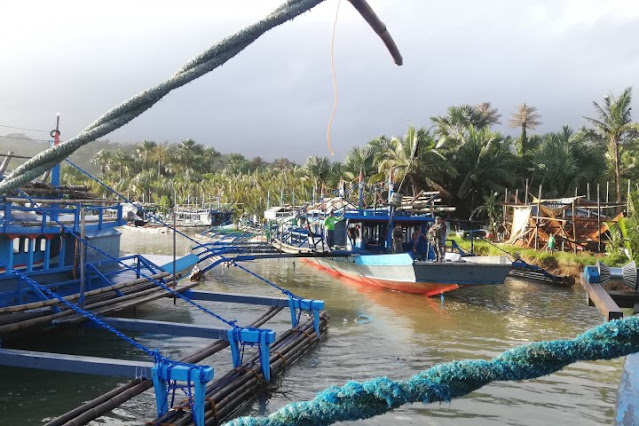 BFAR nets 9 ‘buli-buli’ in Quezon province - Sentinel Times