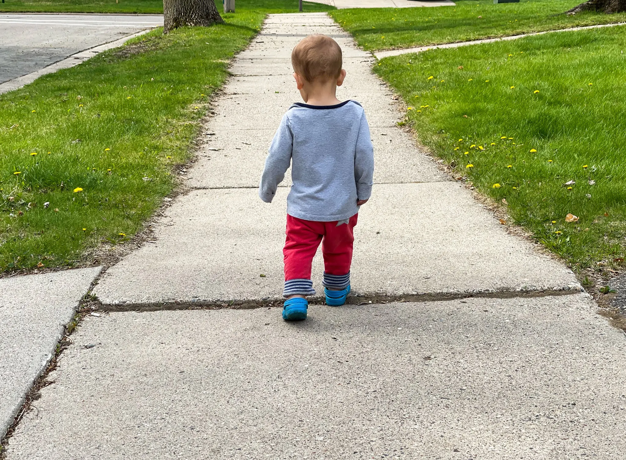 Montessori Toddler Activity - Going for A Walk