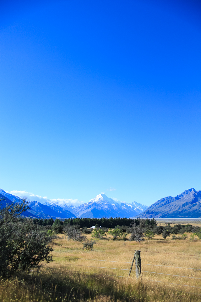 ink + adventure: Mount Cook and the "perfect" campsite
