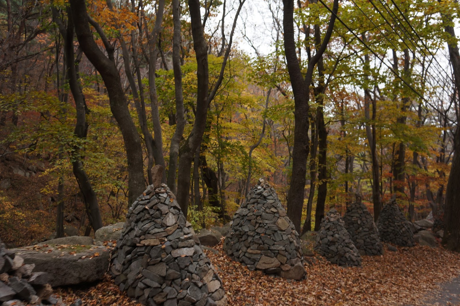 Best Hiking Routes Anybody Can Enjoy in Daegu, Korea!