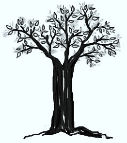 Aneka Kumpulan Soal: Psikotes Baumm Tree