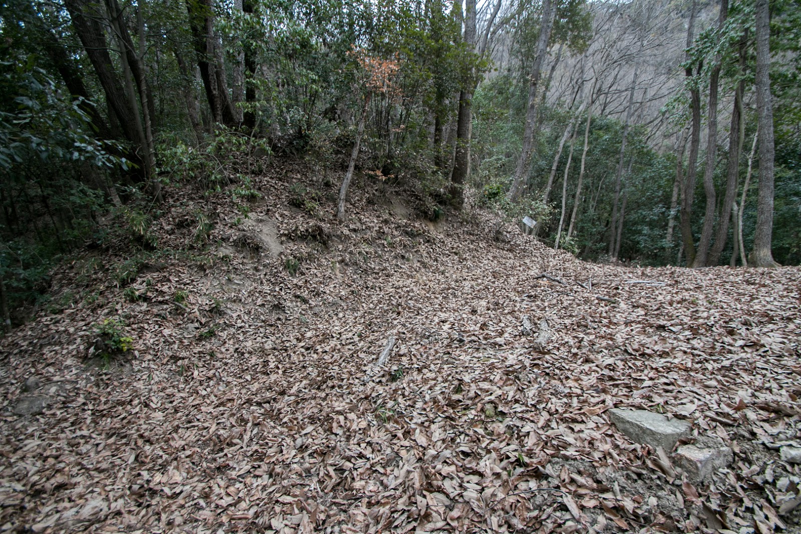 Niitakayama Castle -Intellectual pillar of Mouri clan (2)- | Japan ...