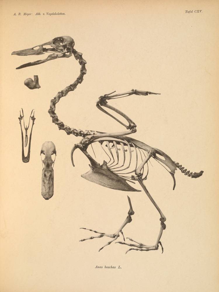 mytexturedworld: August 2015