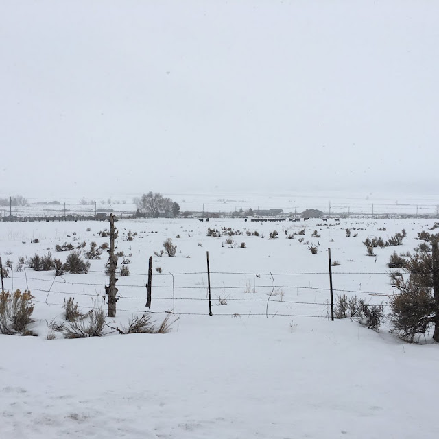 Kathryn's Report: Cessna 525 CitationJet CJ1, N711BX: Fatal accident ...