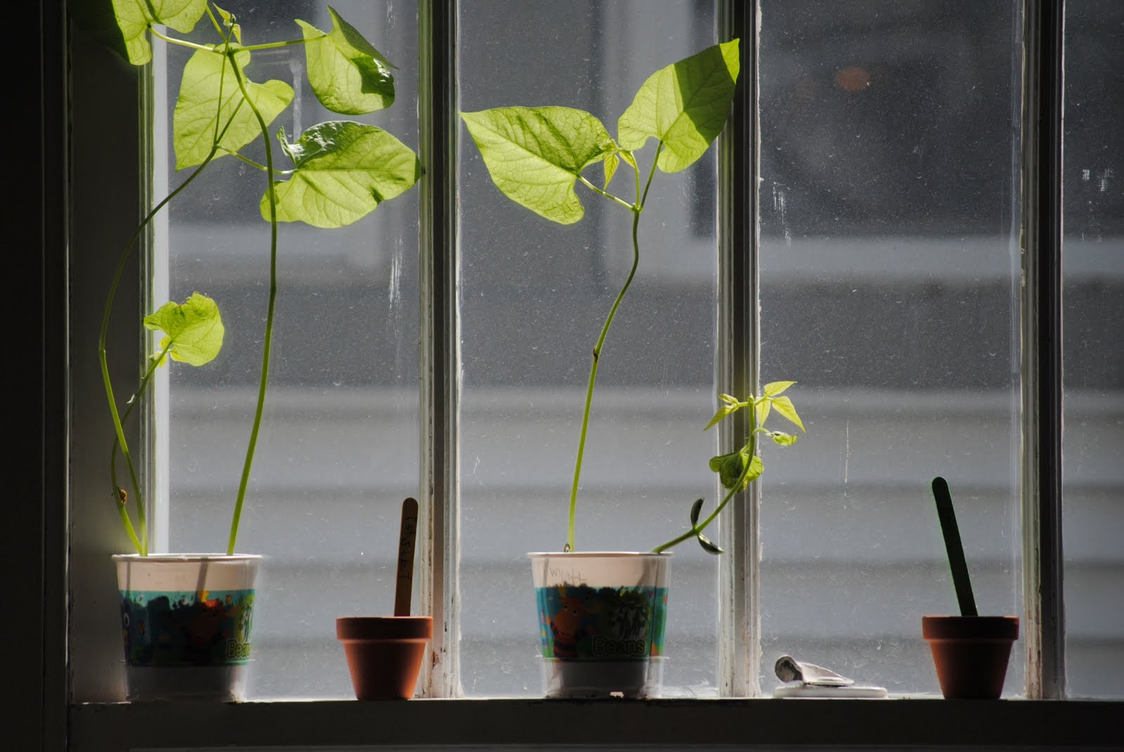 Lucky Number13: {Virtual Coffee}