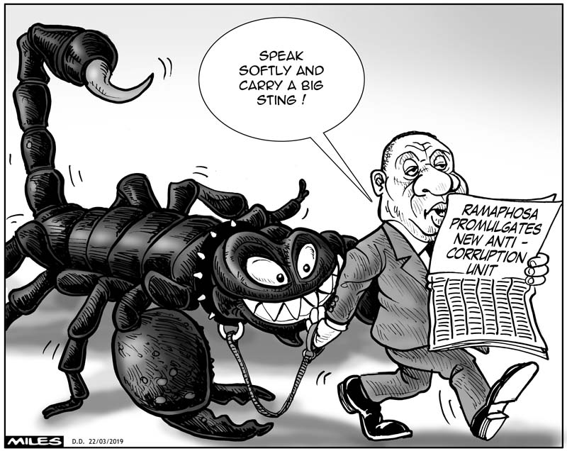 Cartoons by Miles: Sting operation