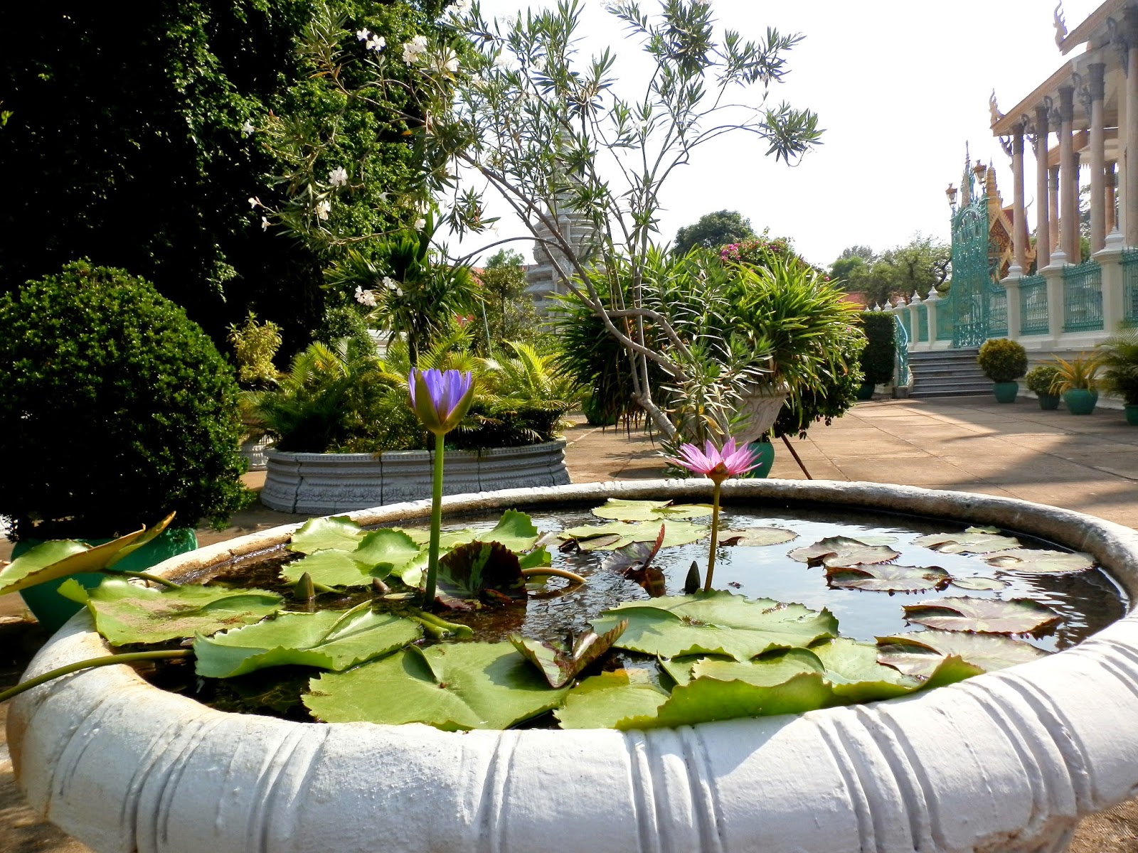 If you like it love it: The rest of beautiful Cambodia..