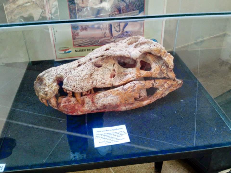 Gênesis 1: Por trás do Criacionismo da Terra Jovem: Ataque aos ...