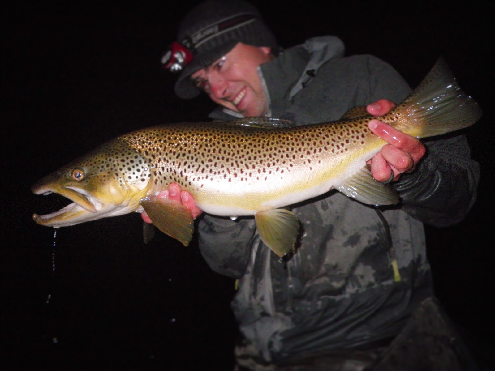 Living Fly Legacy: More Lessons in Mousing for Trout