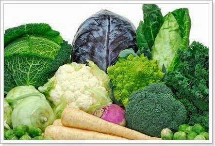 Cruciferas