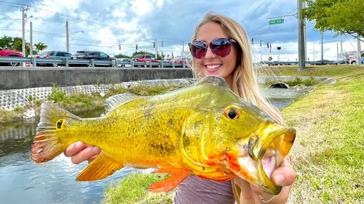 A View from the Beach: Fish Pic Friday - Kelly Young