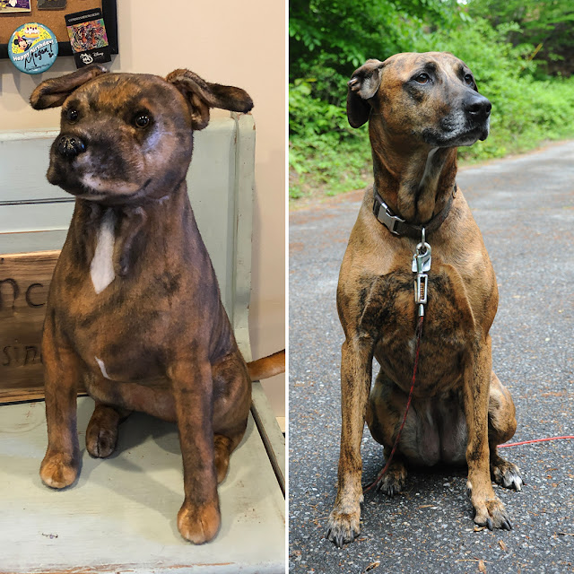 {review} Layla's Cuddle Clone; Ordering Process | Closet Fashionista