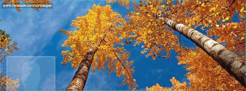 BORÍTÓKÉPEK: Őszi Borítóképek (10DB)