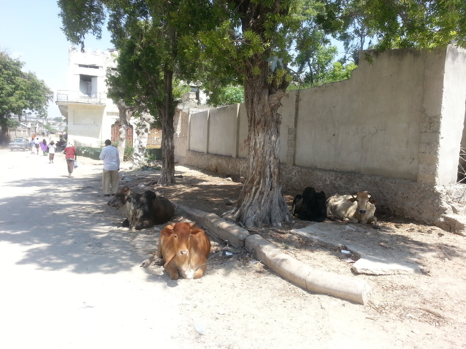 Somalia in Pictures: Somalia - Real Mogadishu Arbaca Rukun Masaajid