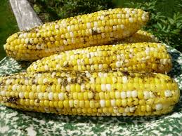 Random Bits Of Goodness