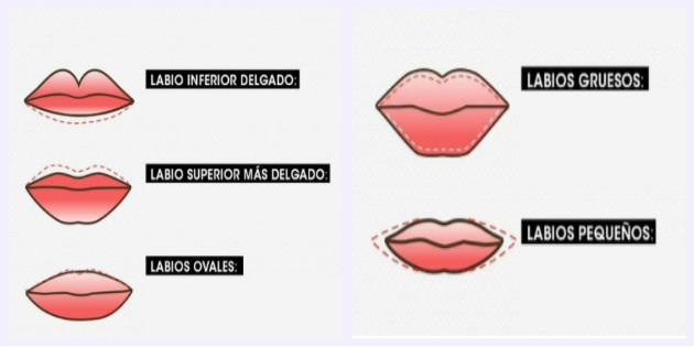 como besas segun la forma de tus labios